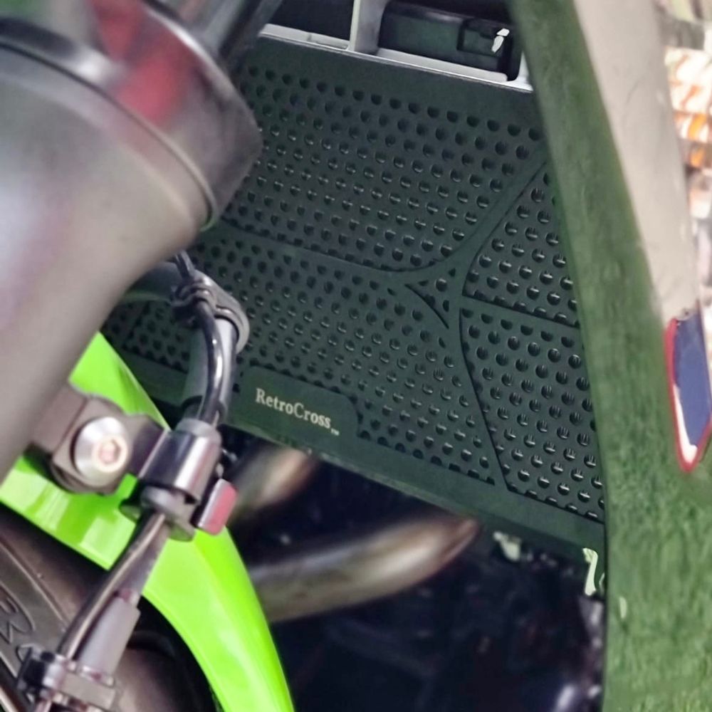 High-Quality Kawasaki Ninja 300 Radiator Guard - Retrocross India